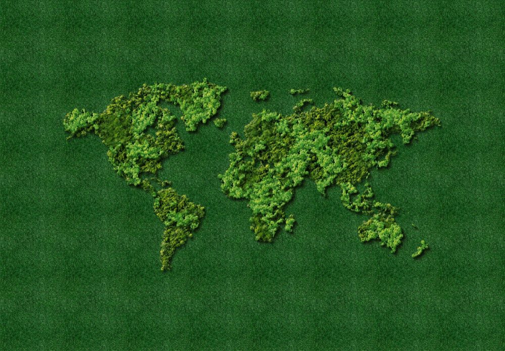 India's Tree Mapping Initiative - DigiGov Central